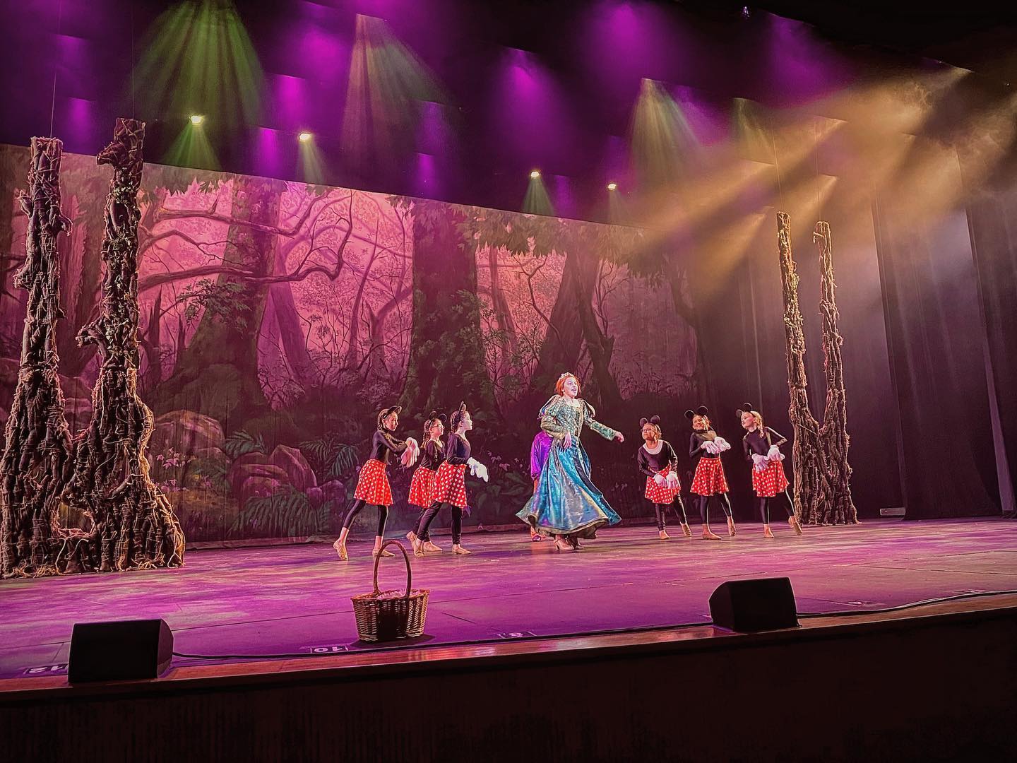 Shrek Costumes - Encore Theatrical LA