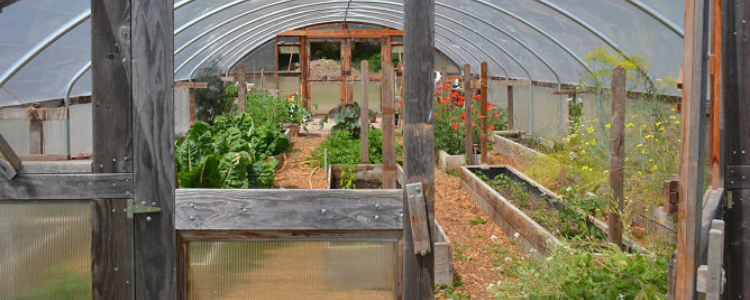 HOME [www.orcasislandgardenclub.org]