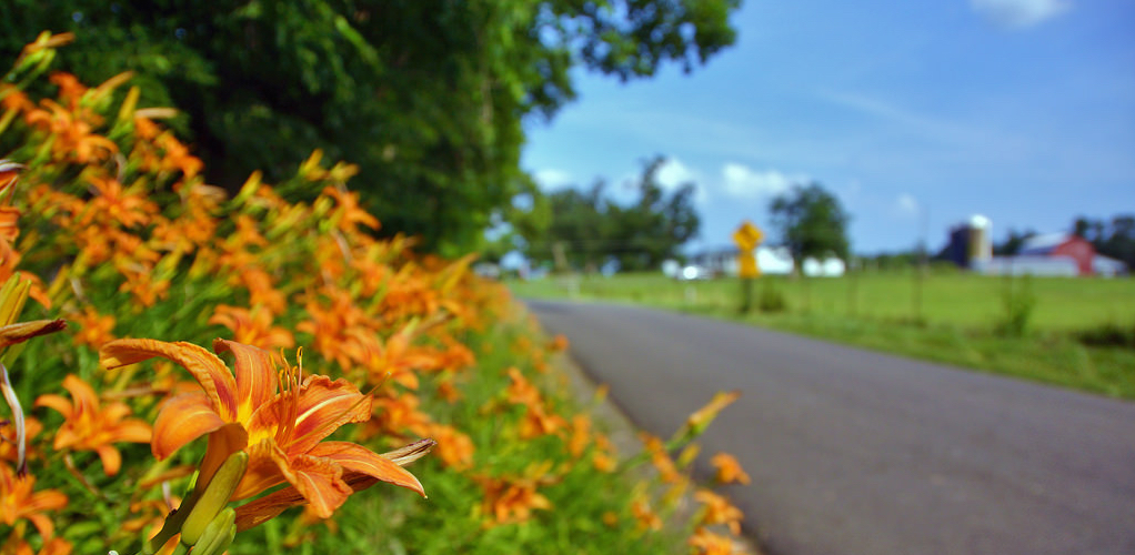 CITY OF ADEL - Home